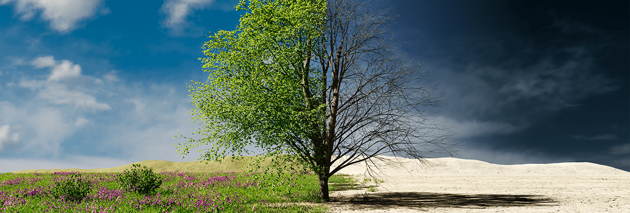 How to be Resilient in a World of Creeping Climate Change